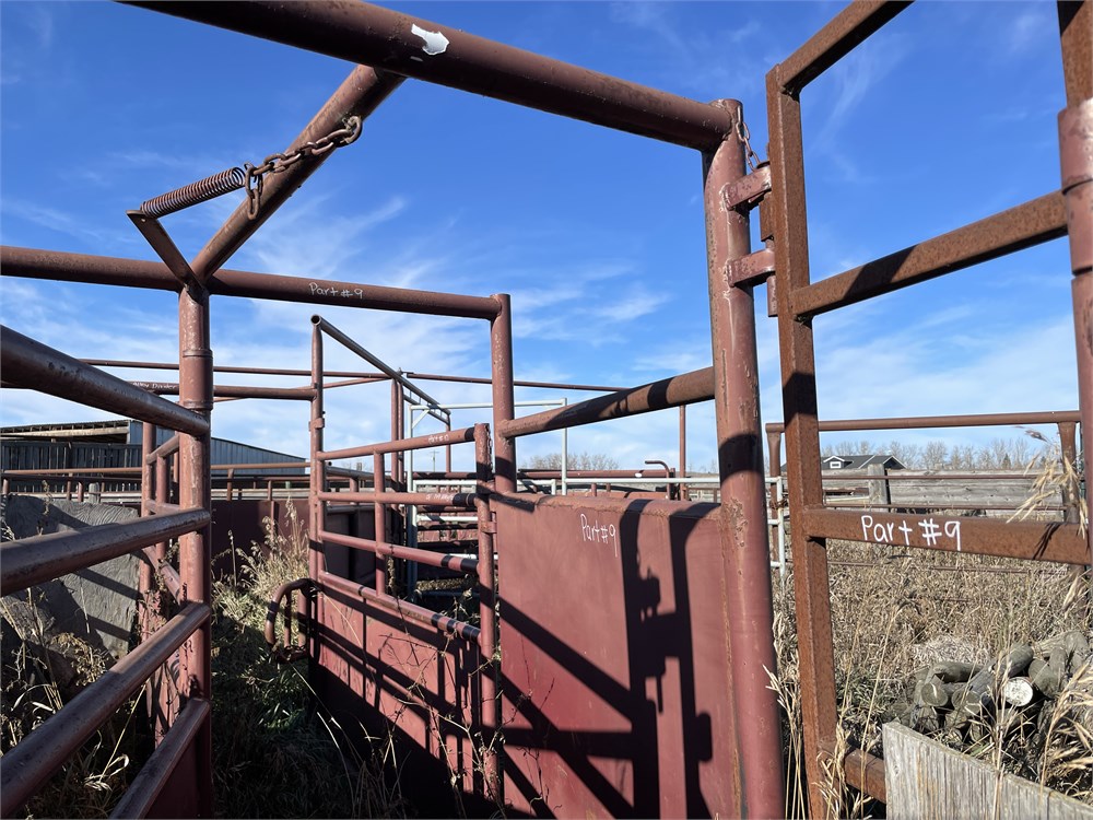 Dunkle Auction Services - Stampede Steel Overhead framed Two Way Alley ...