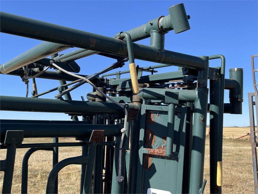 Dunkle Auction Services Inc. - HI-HOG Manual Cattle Squeeze w/ Self ...